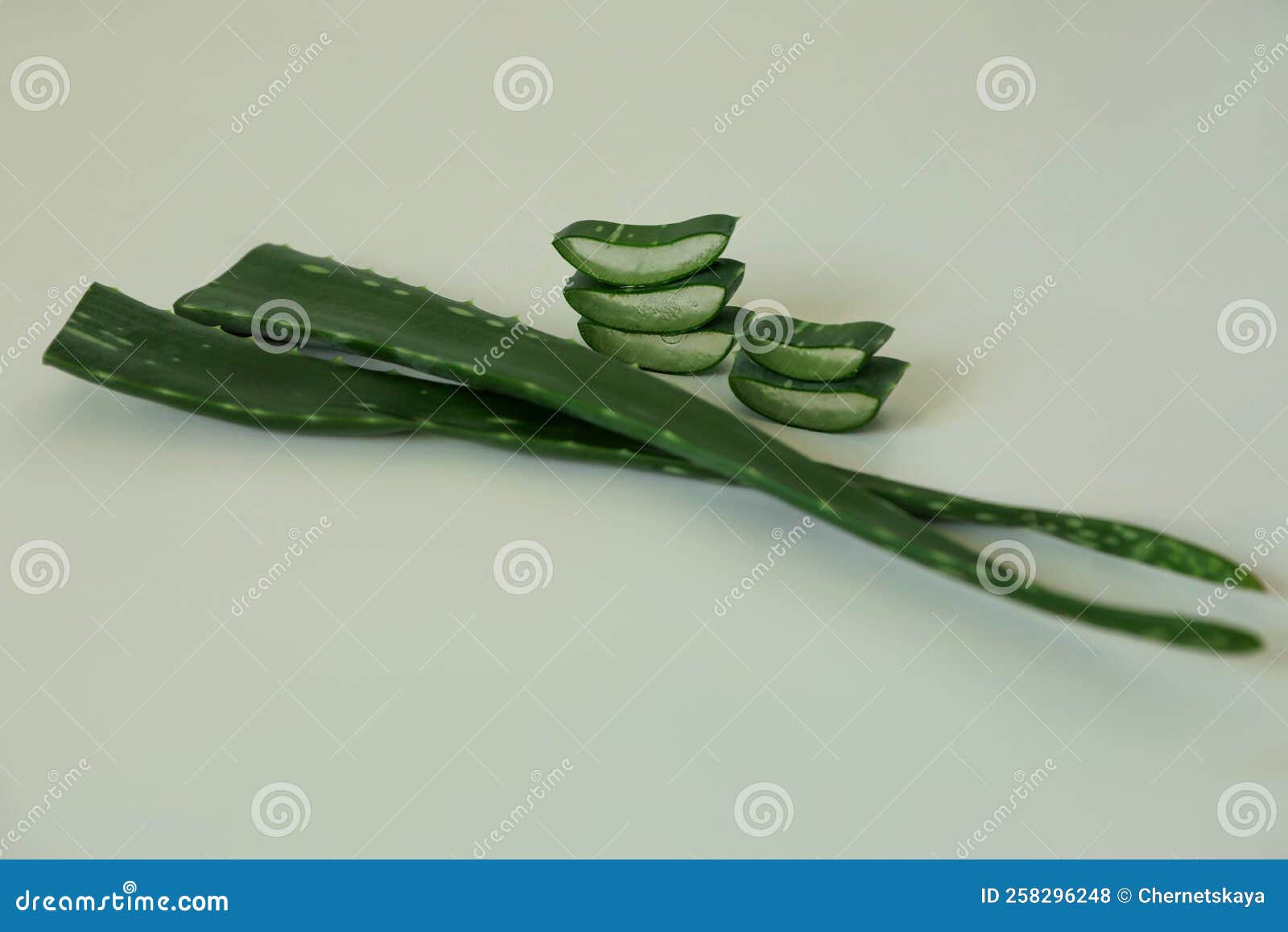 Green Aloe Vera Leaves and Slices on Light Background Stock Photo ...