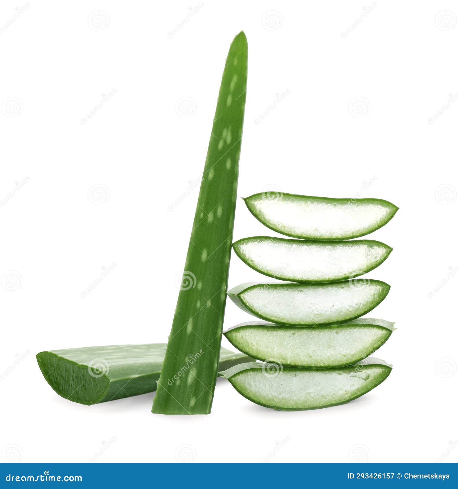 Green Aloe Vera Slices Isolated on White Stock Image - Image of beauty ...