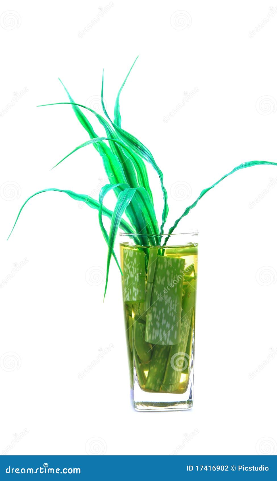 Green alovera stock photo. Image of cosmetics, growth - 17416902