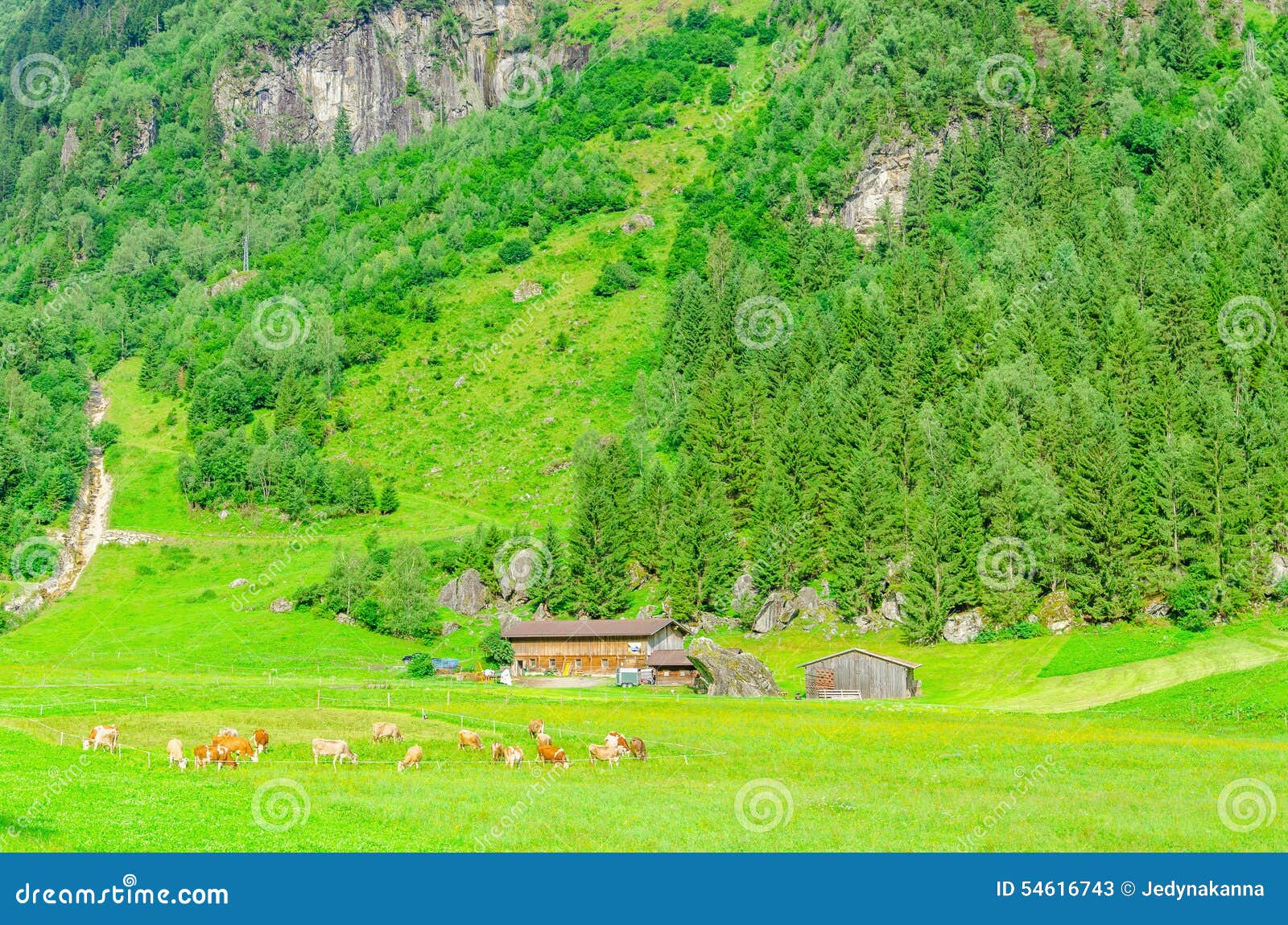 Green Alpine Meadows, Zillertal, Austria Stock Image - Image of meadow ...