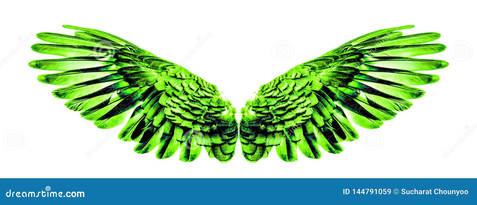 Green Angel Wings an Isolated on White Background Stock Image - Image ...
