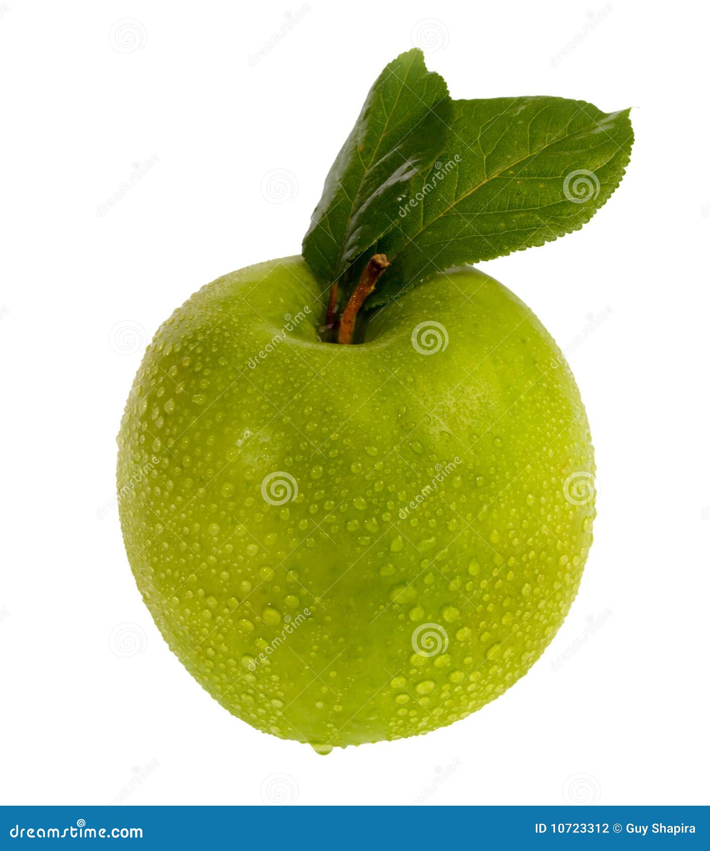 Green apple stock photo. Image of health, leaf, delicious - 10723312