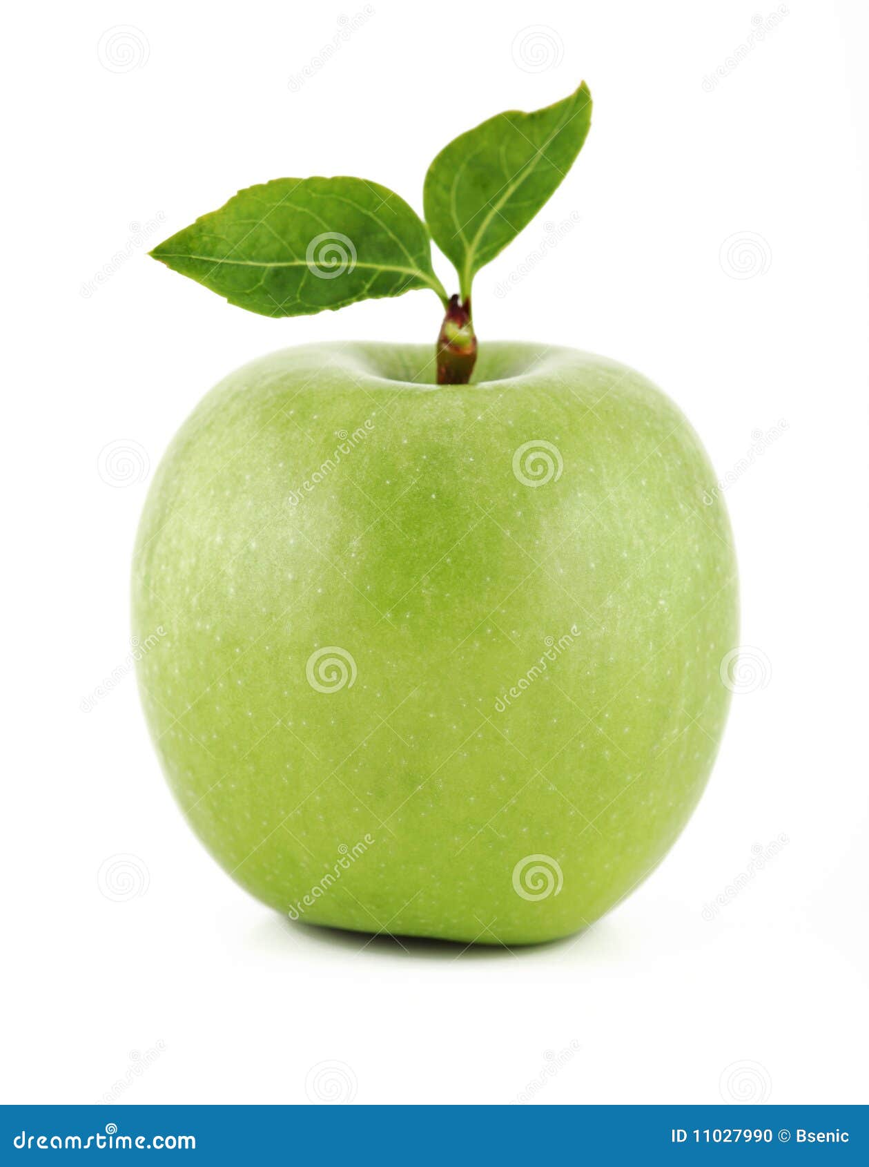 Green apple stock photo. Image of fresh, diet, bright - 11027990