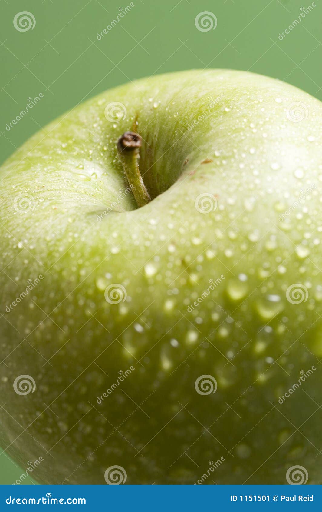 Green apple stock image. Image of spring, feed, healthy - 1151501
