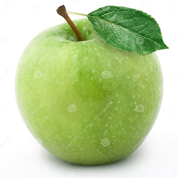 Green apple stock photo. Image of nature, closeup, shadow - 17861924