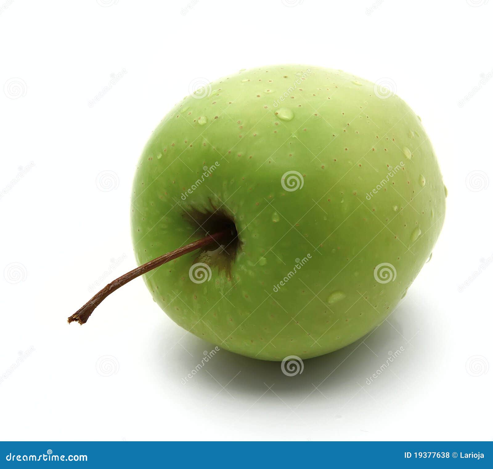Green apple stock photo. Image of garden, fruit, agriculture - 19377638