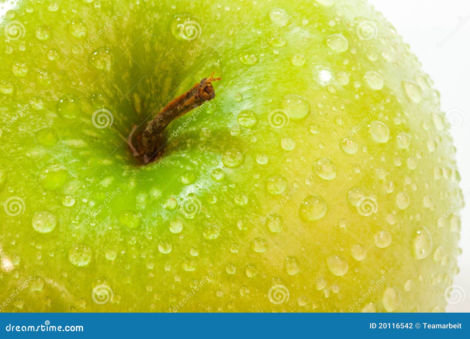 Green apple stock photo. Image of fresh, garden, stem - 20116542