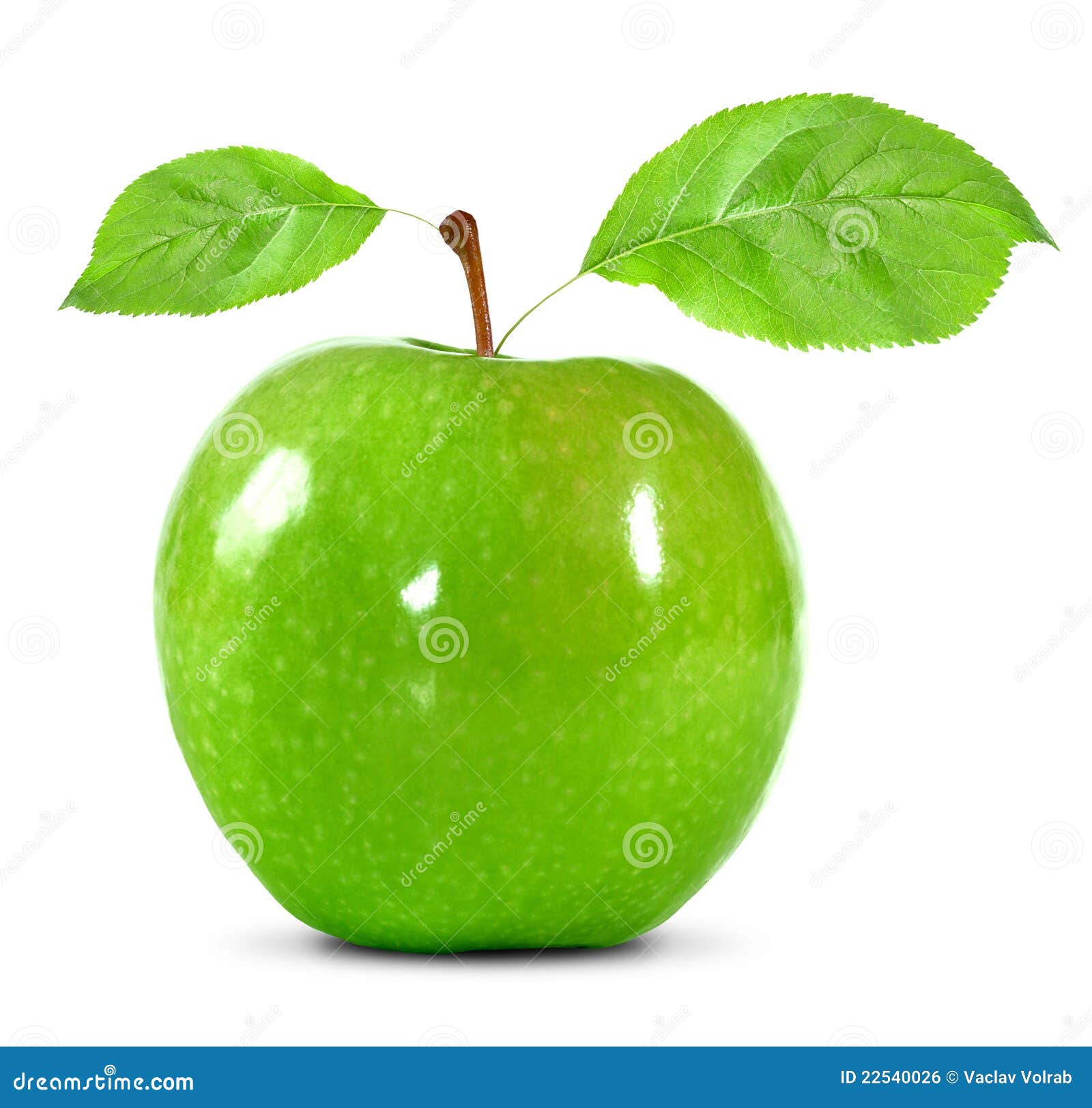 Green apple stock photo. Image of sweet, delicious, freshness - 22540026