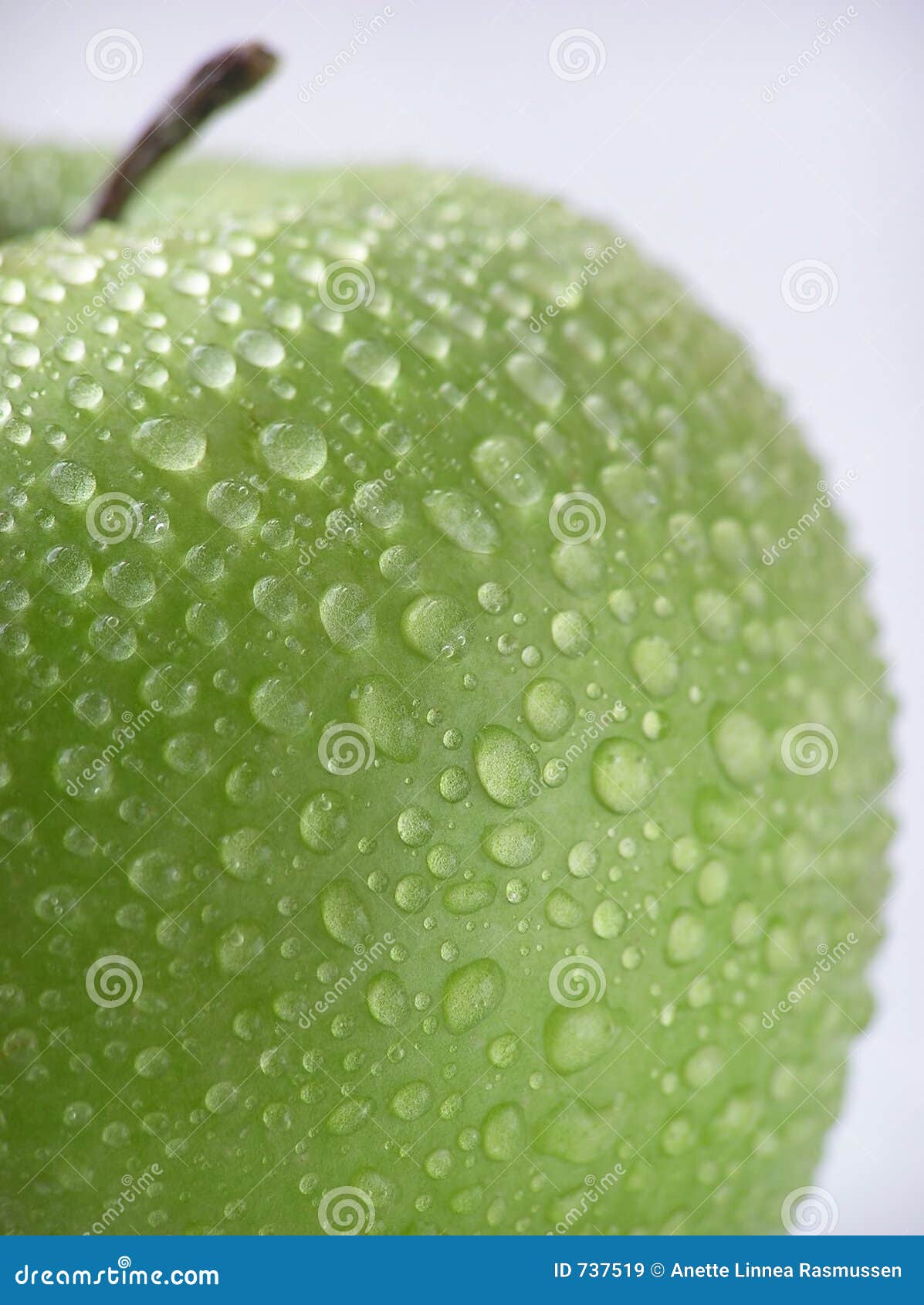 Green apple stock image. Image of fruit, natural, season - 737519