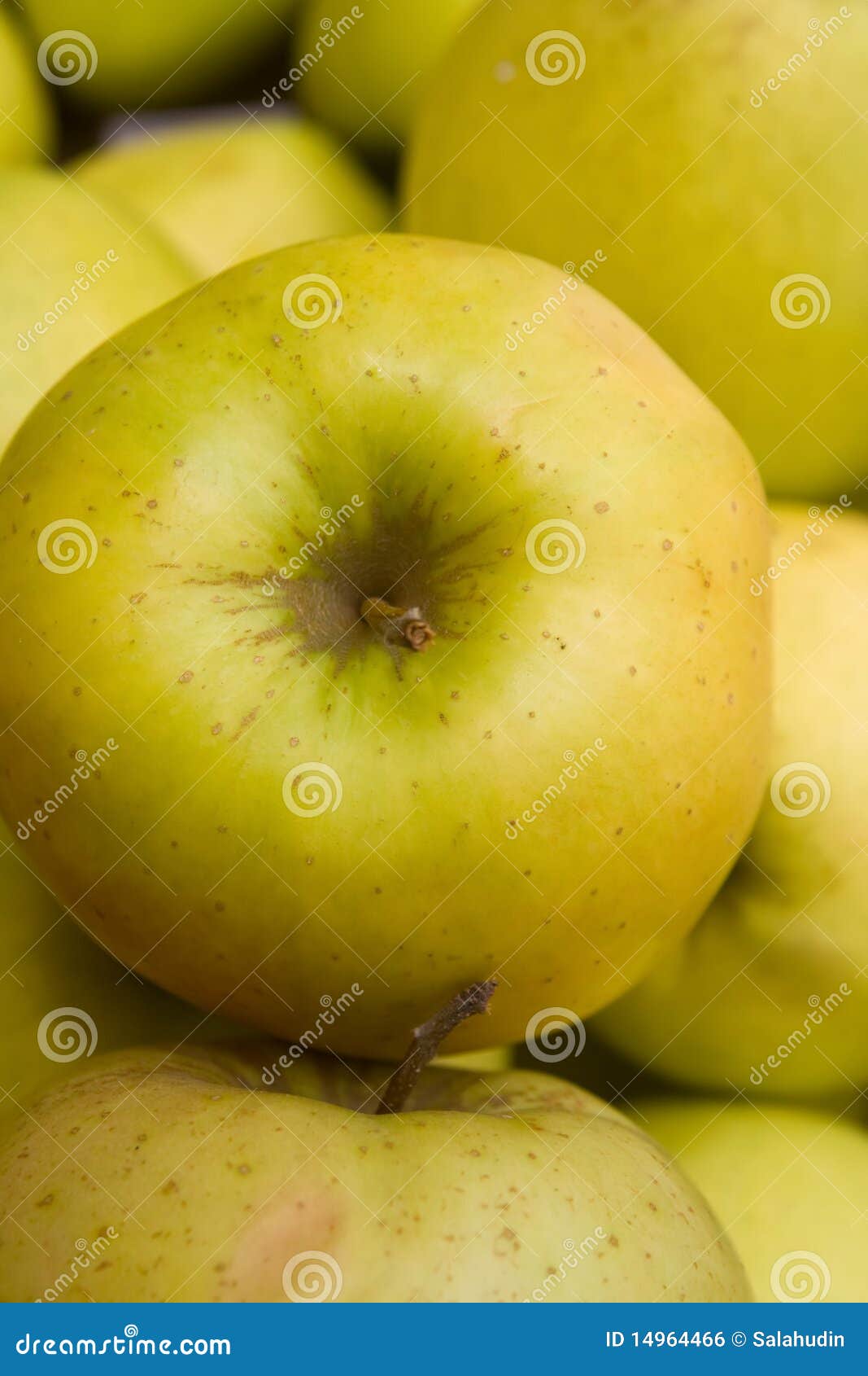 Green apple close up stock photo. Image of group, green - 14964466