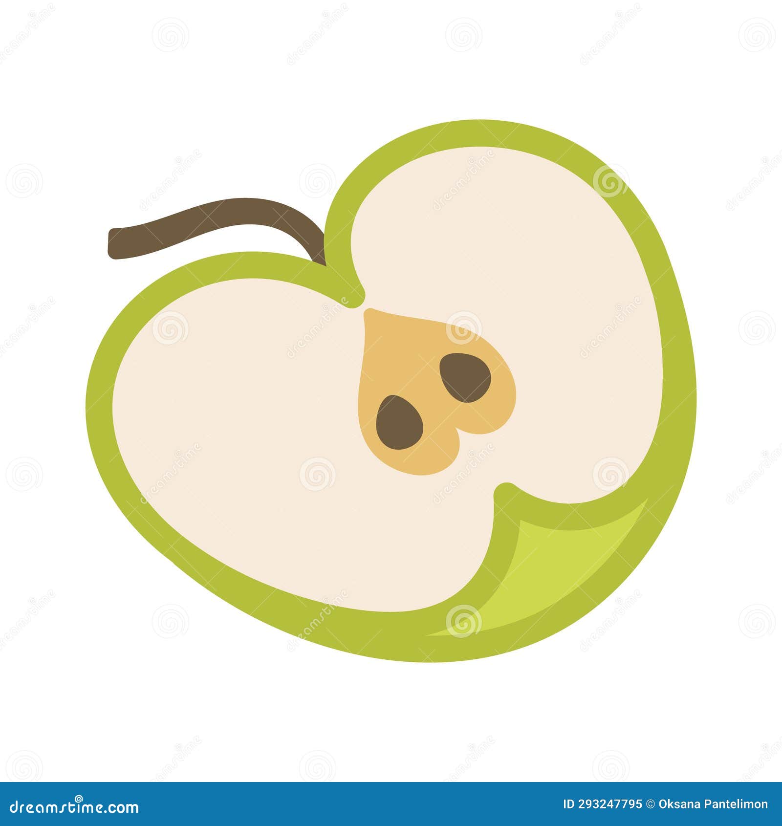 Green Apple Cut in Half. Cute Cartoon Illustration Stock Vector ...