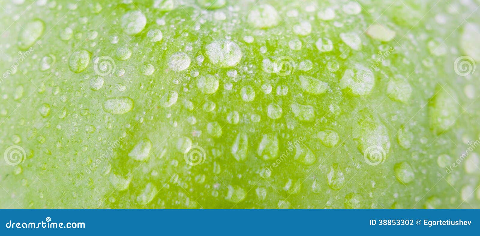 Green Apple with Drops stock photo. Image of agriculture - 38853302