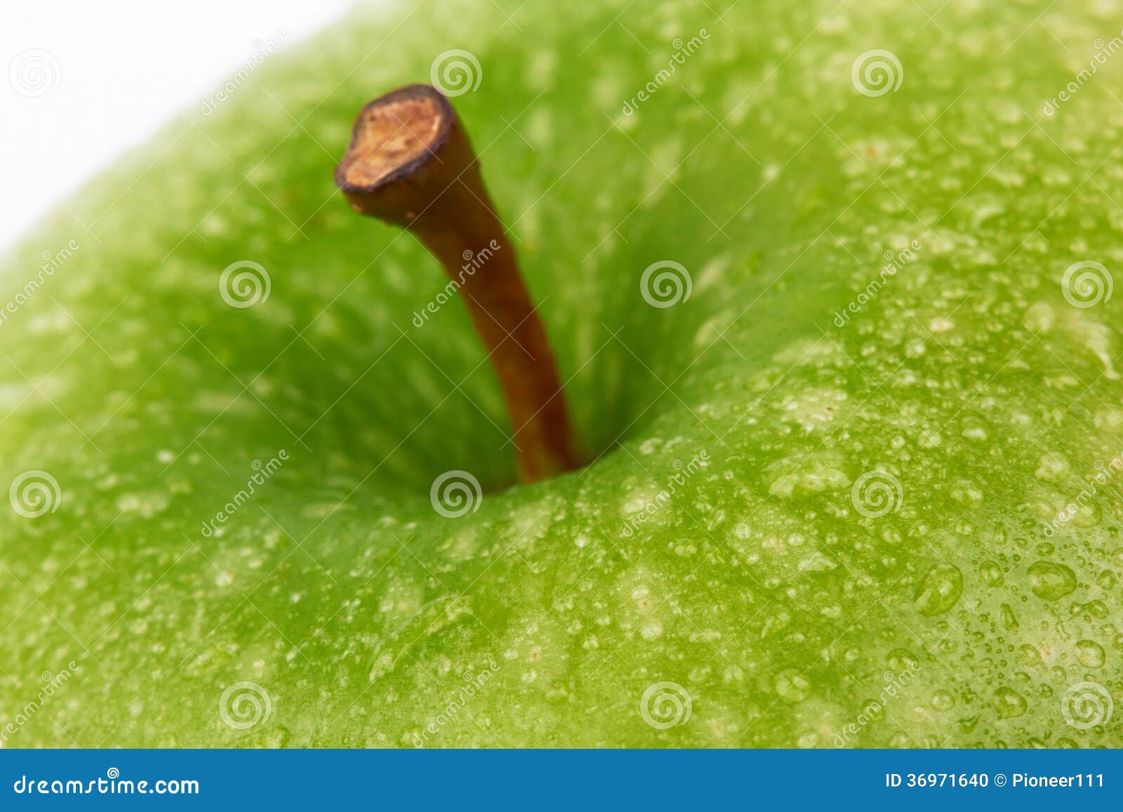 Green apple stock photo. Image of health, drip, single - 36971640