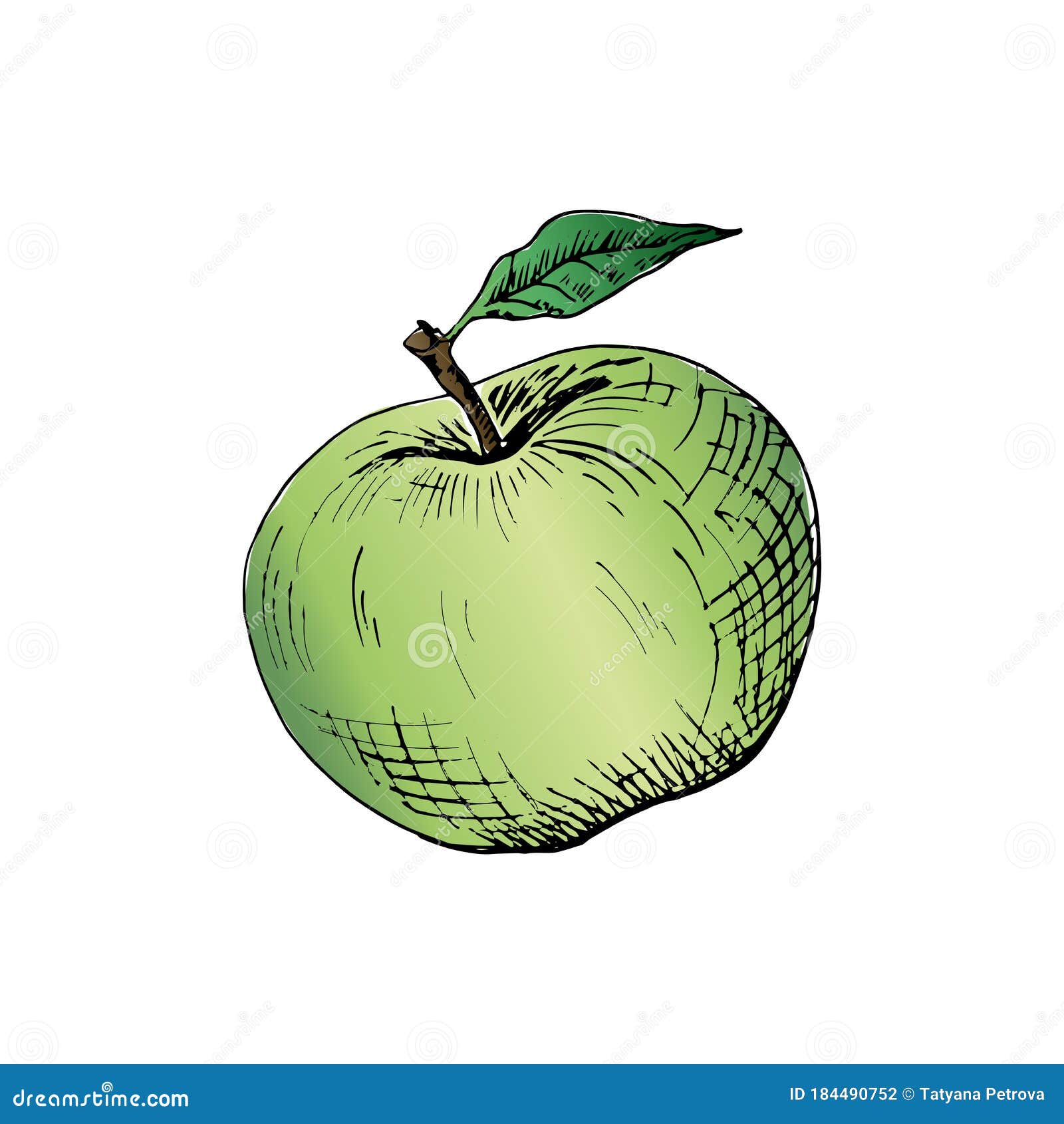 Green Apple. Hand Drawn Apple. Vector Illustration, Isolated on White ...