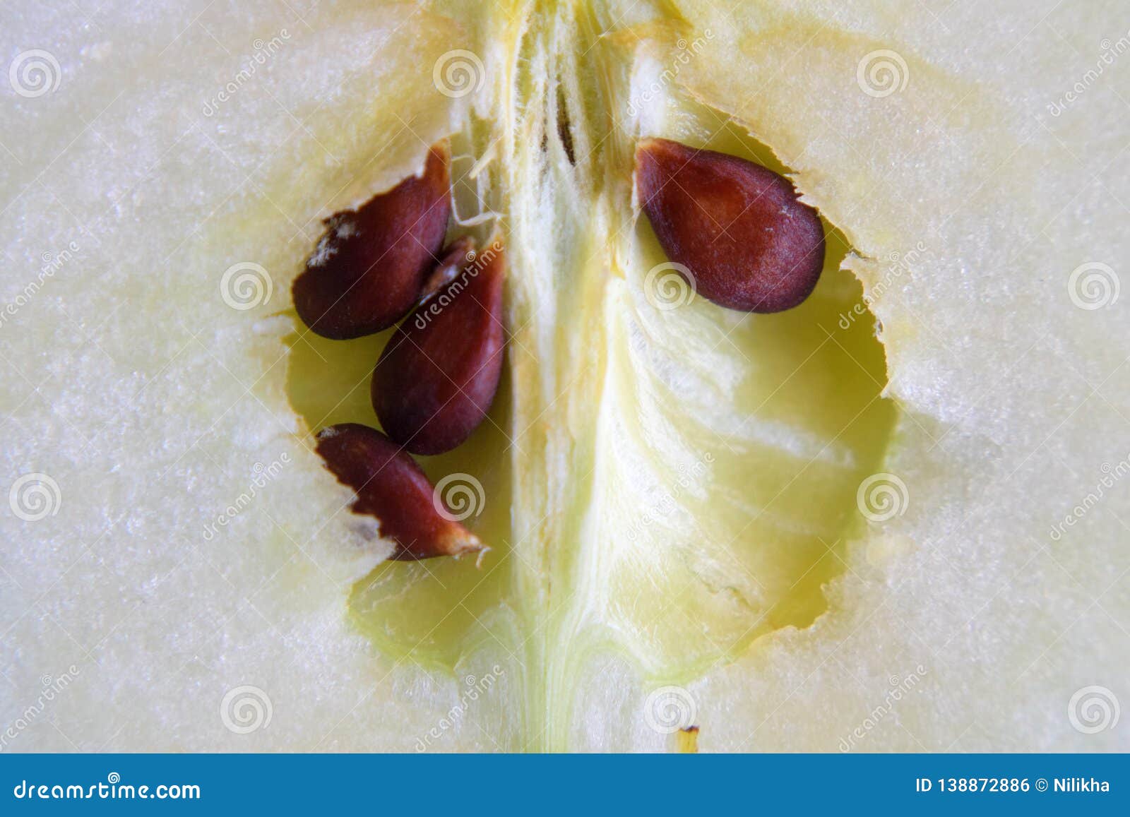 Green apple inside stock photo. Image of closeup, details - 138872886