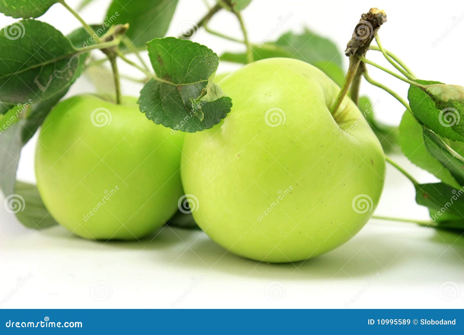 Green apple with leaves stock image. Image of white, produce - 10995589