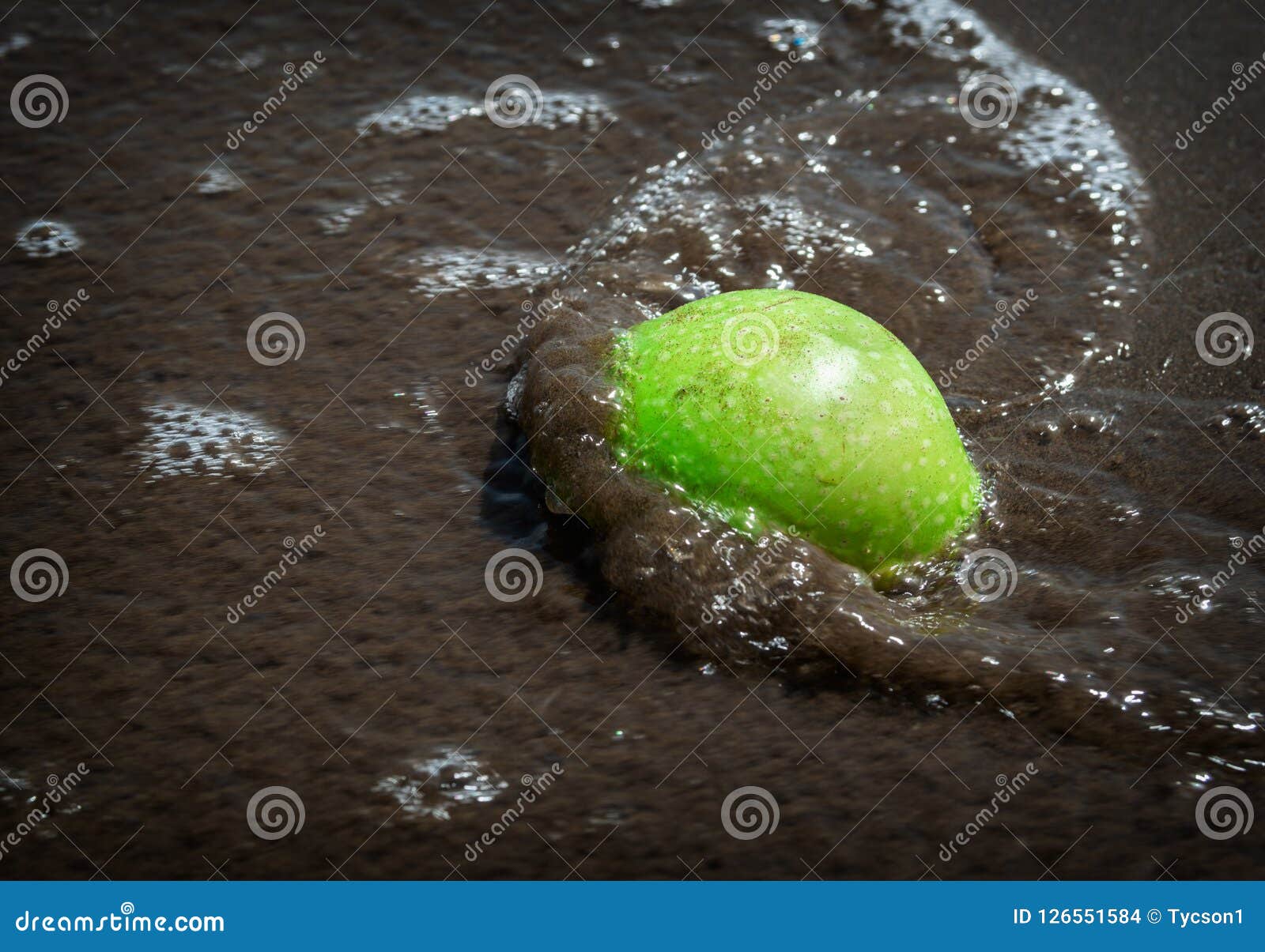 Green apple in the sand stock photo. Image of agriculture - 126551584