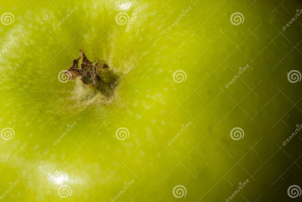 Green Apple Skin Background Stock Photo - Image of drop, healthy: 26819268