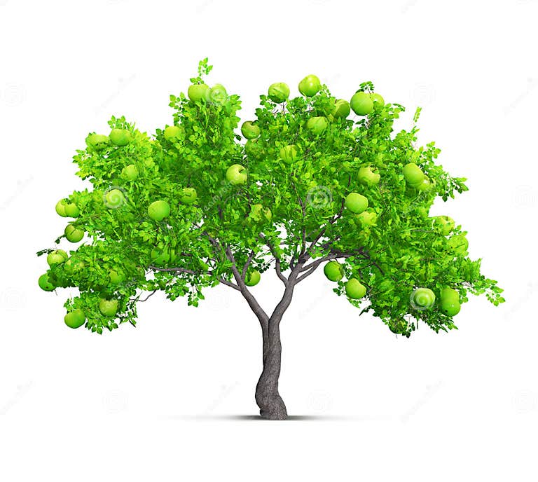 Green Apple Tree Isolated 3D Illustration Stock Illustration ...