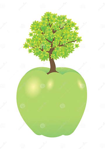 Green apple with tree stock vector. Illustration of design - 65290684