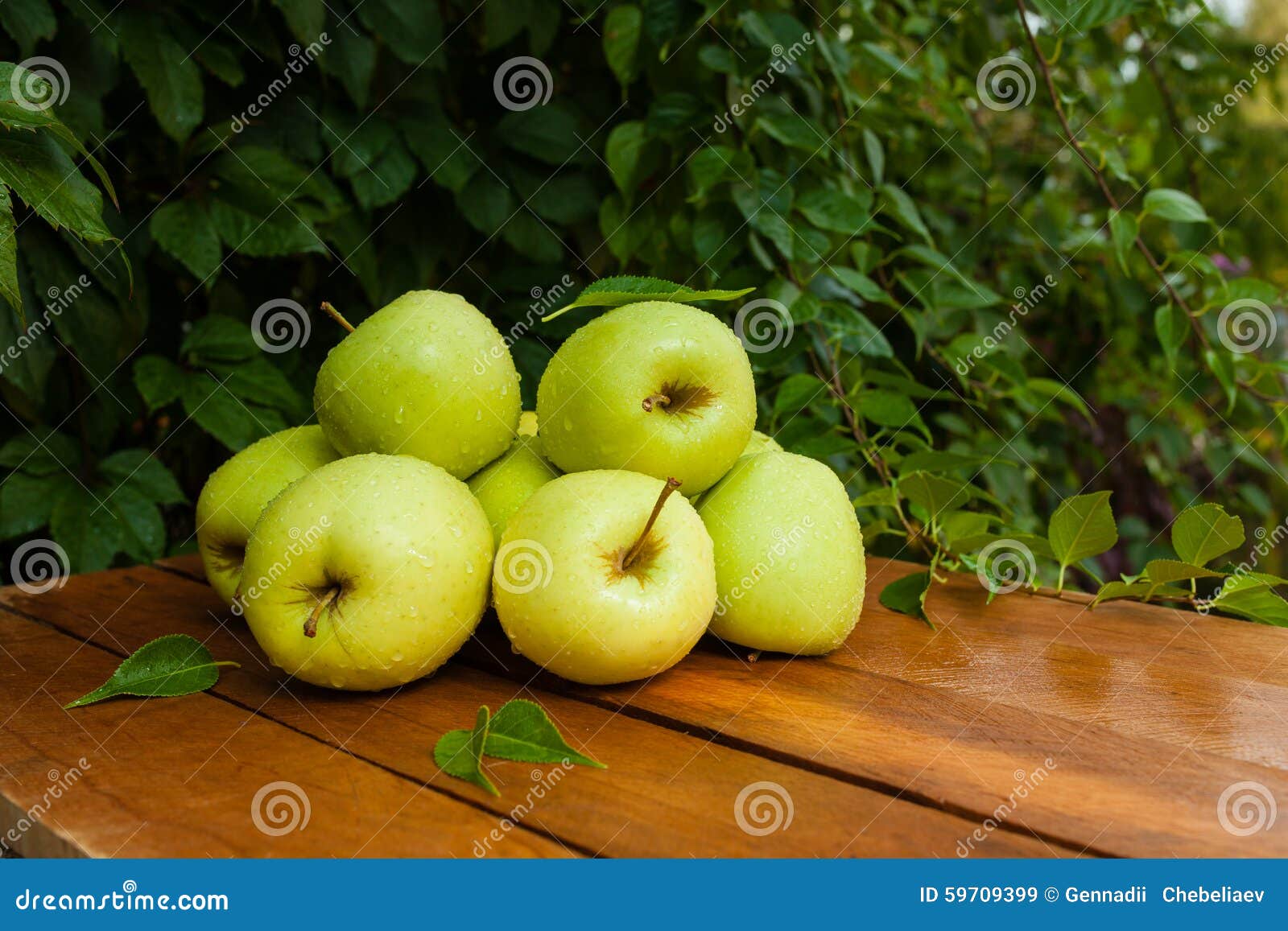 Green apple in the village stock image. Image of backdrop - 59709399