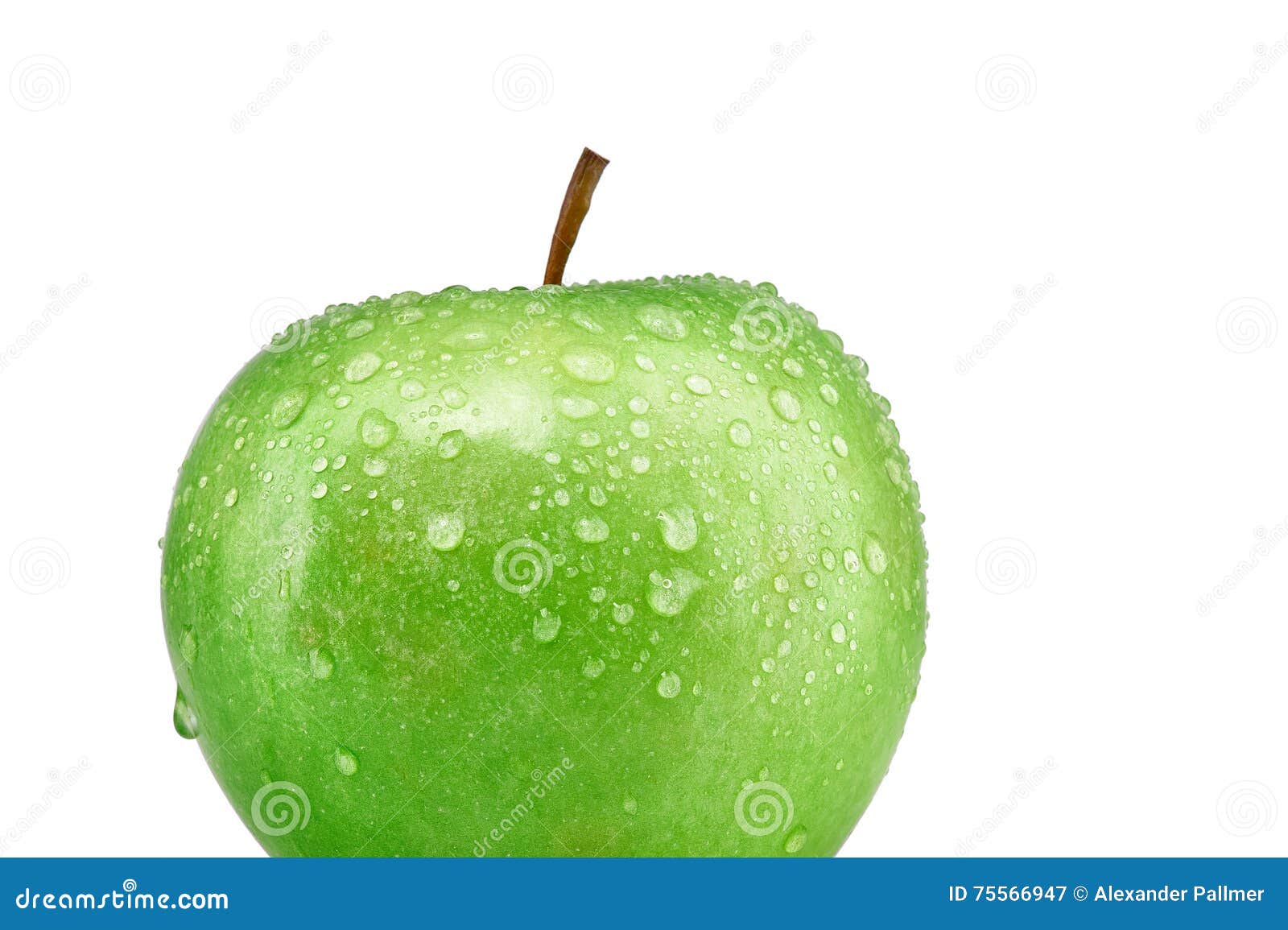 Green apple wet stock image. Image of green, healthy - 75566947