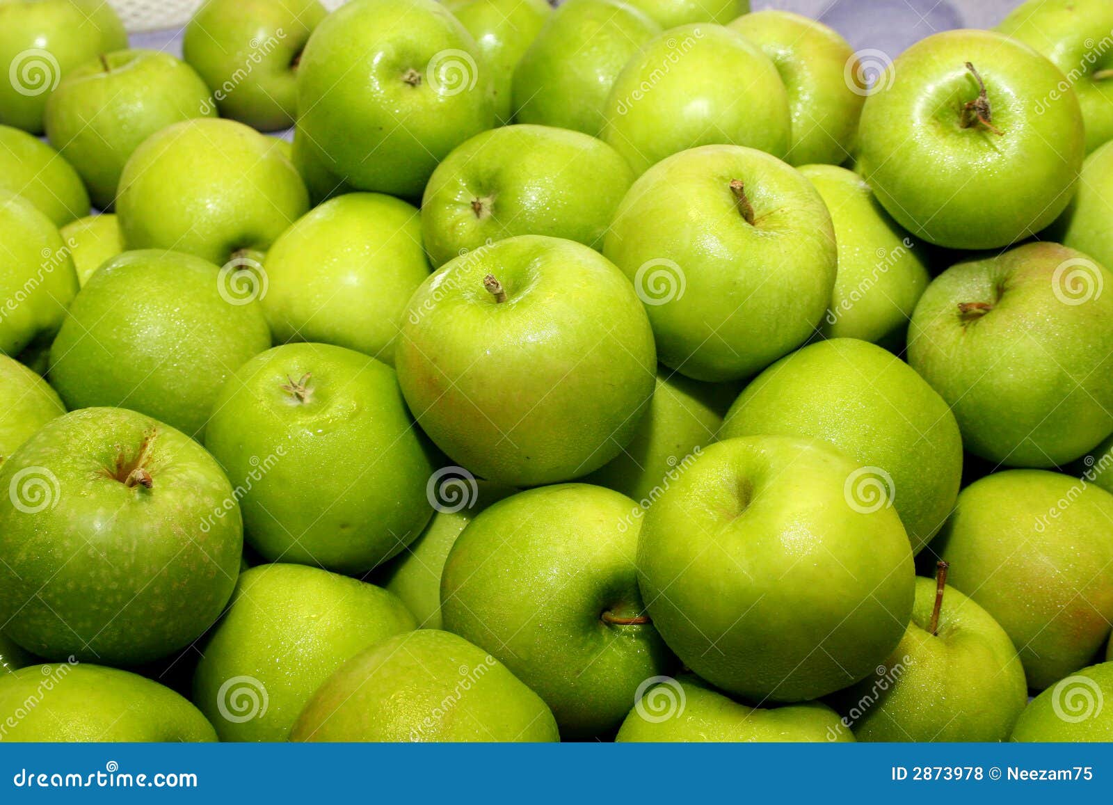 Green Apples 1 stock photo. Image of texture, plant, heap - 2873978