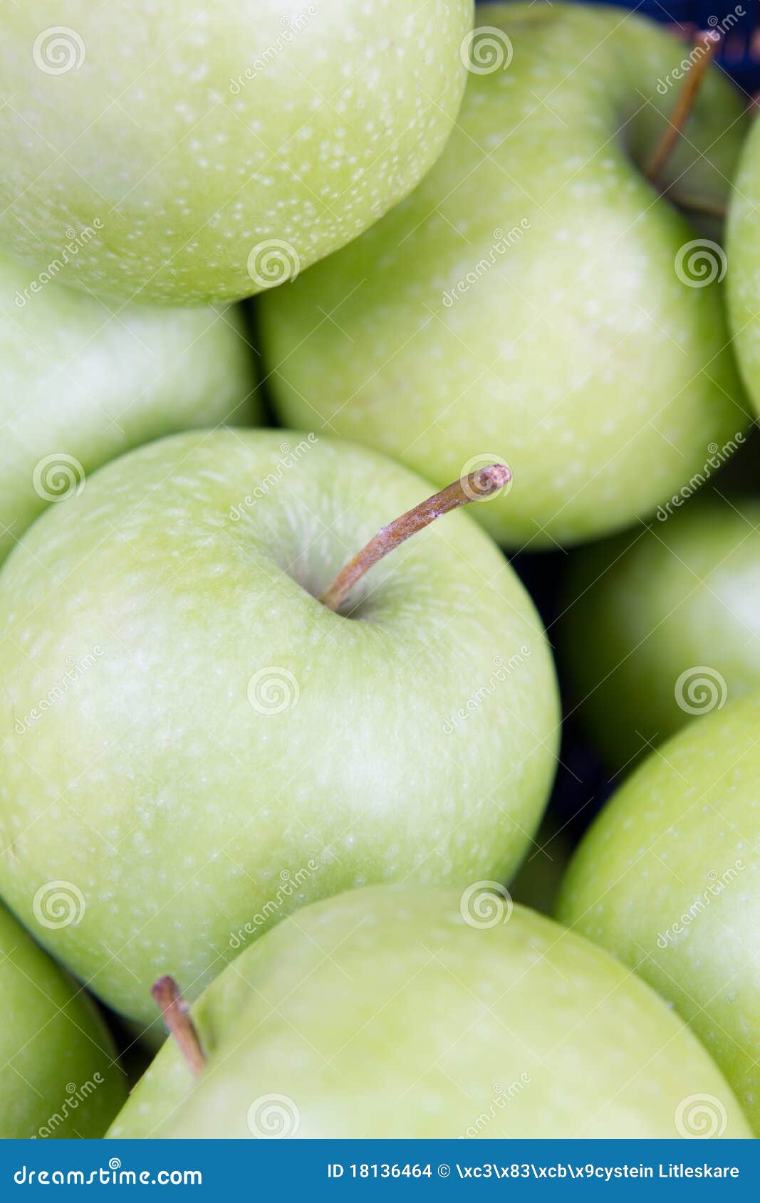 Green apples stock photo. Image of nutrition, juicy, closeup - 18136464