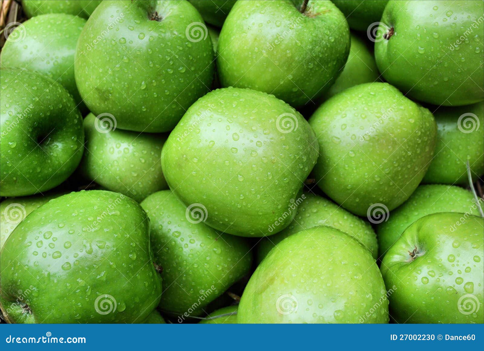 Green apples stock photo. Image of tree, objects, water - 27002230