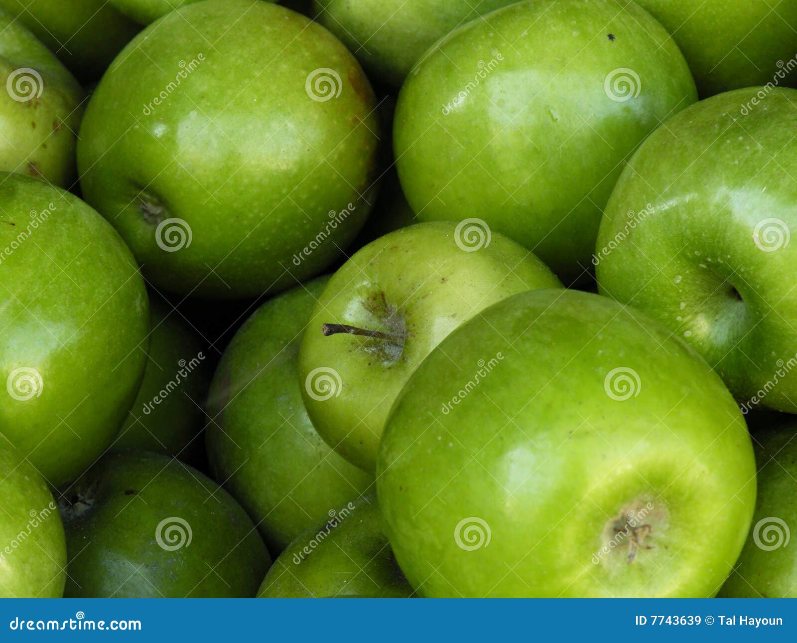 Green Apples stock image. Image of food, fruits, crisp - 7743639