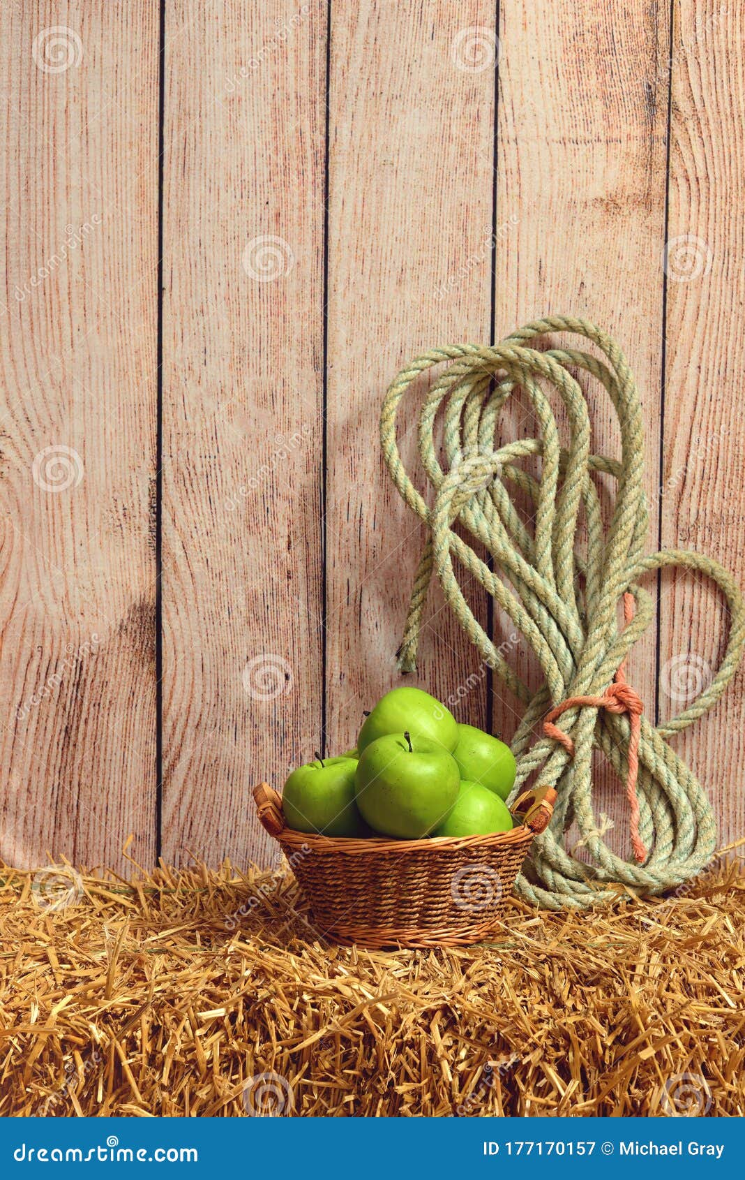Green Apples in Basket with Rope on Straw Bale Stock Image - Image of ...