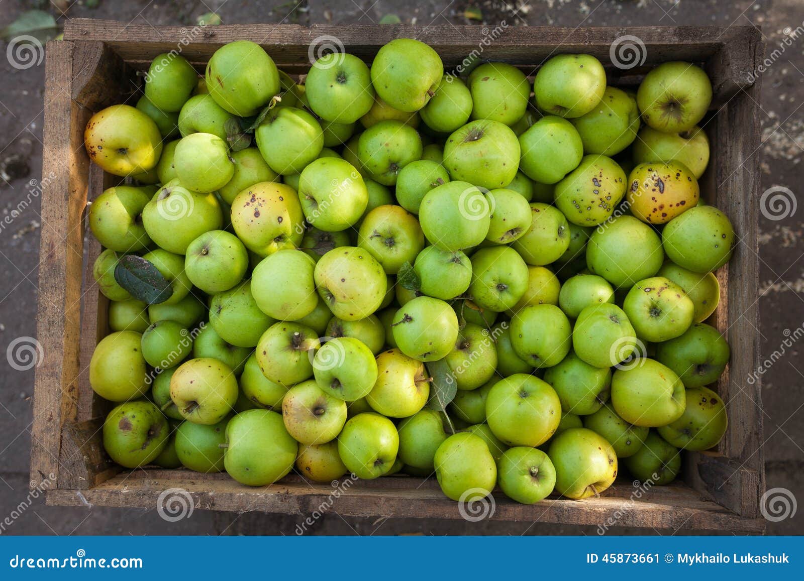Green apples in box stock image. Image of closeup, natural - 45873661