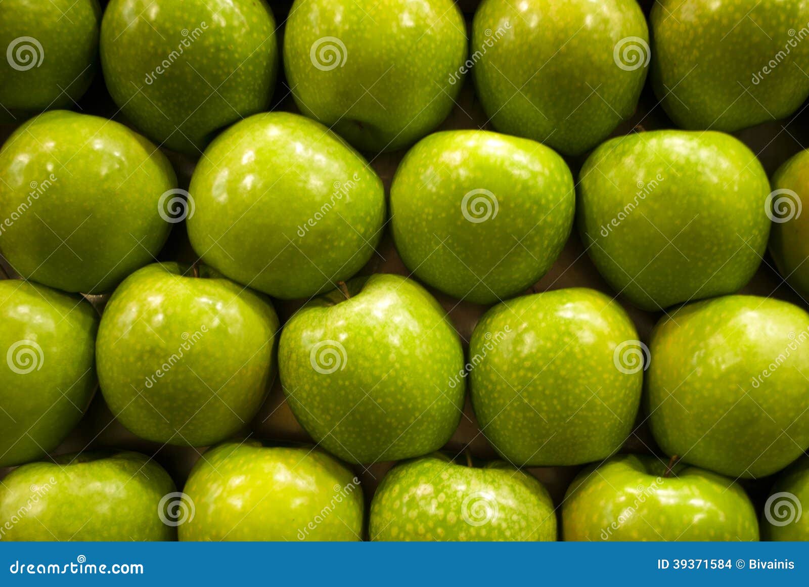 Green apples stock photo. Image of color, health, farm - 39371584