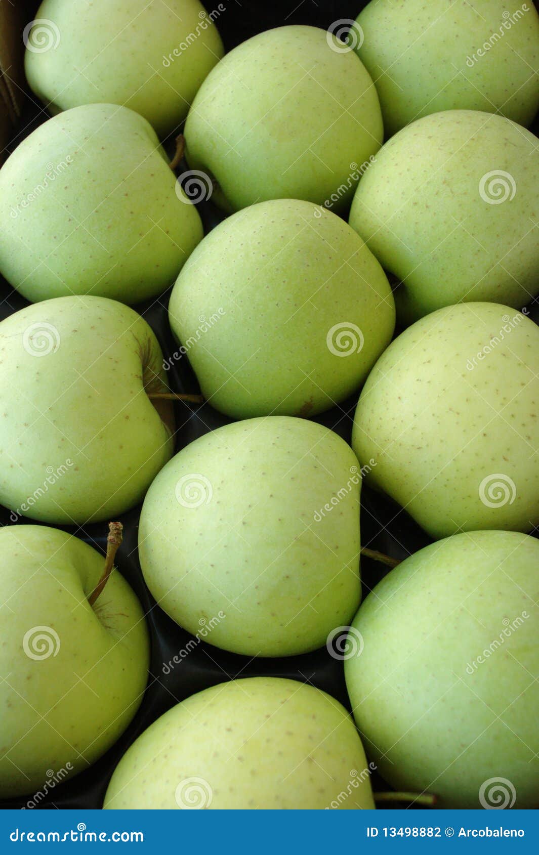 Green apples in rows stock photo. Image of dieting, concepts - 13498882