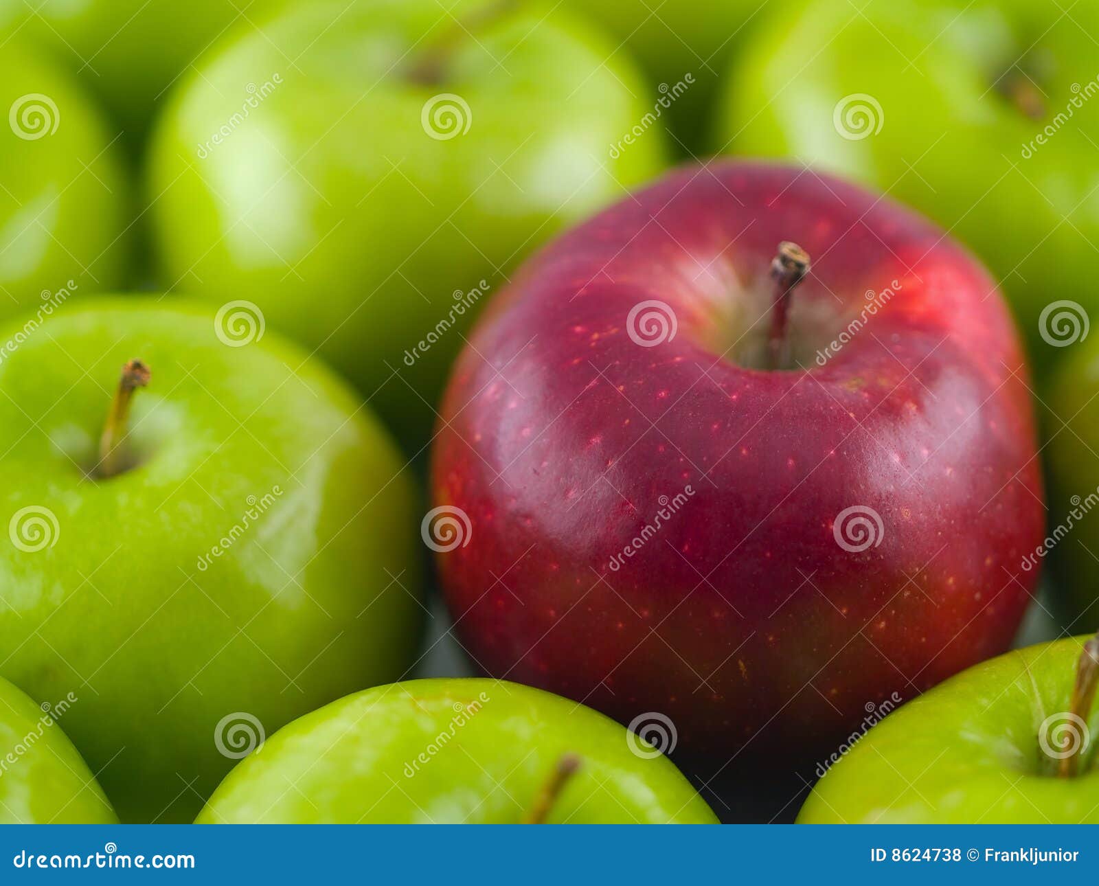 Green Apples with a Single Red Delicious Stock Photo - Image of meal ...