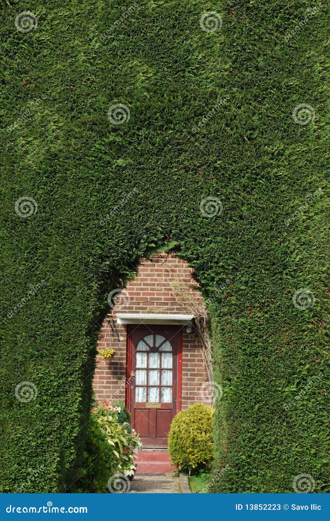 Green arch stock image. Image of nature, hedge, green - 13852223