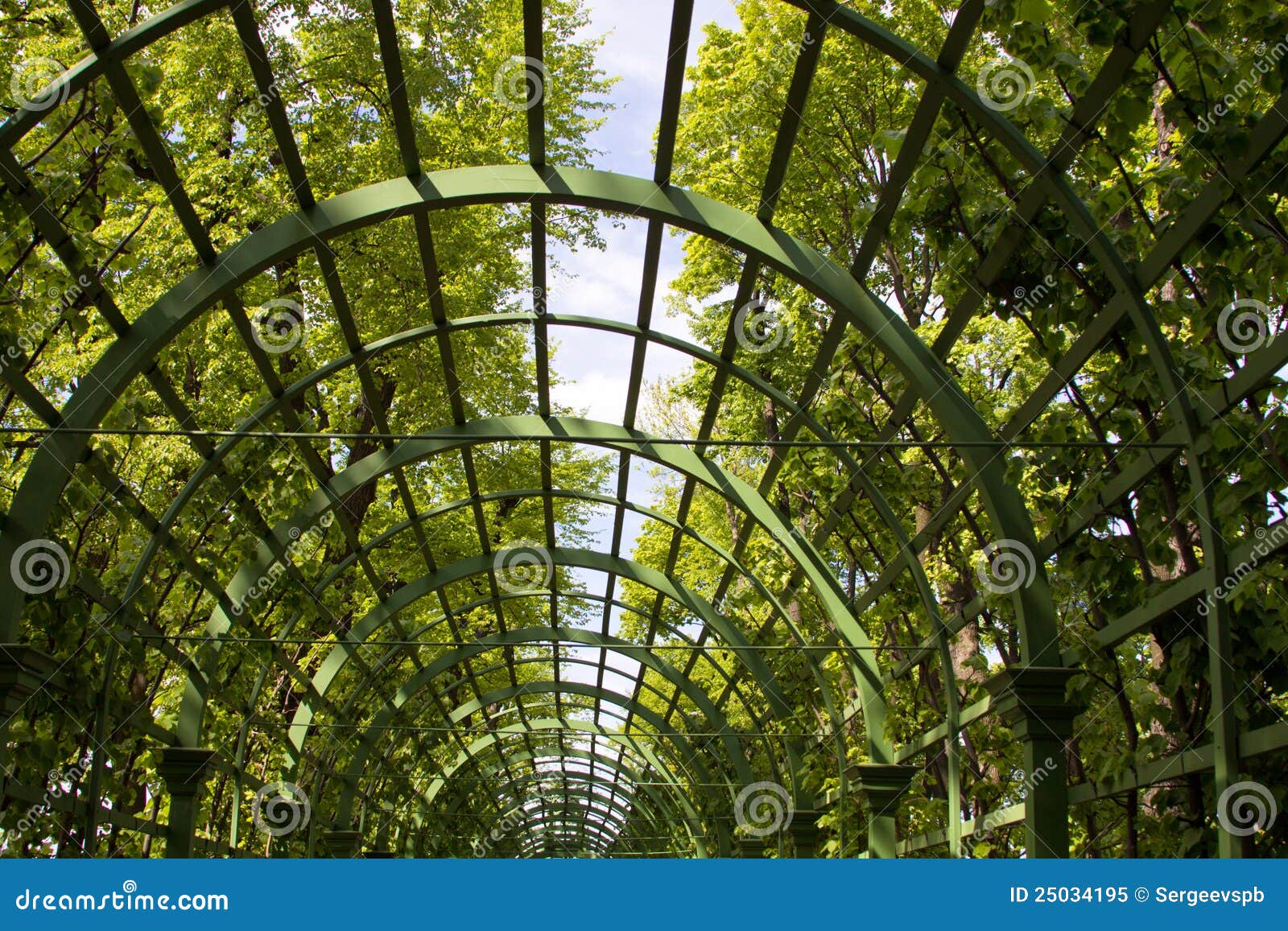 Green arch stock image. Image of plant, foliage, arch - 25034195