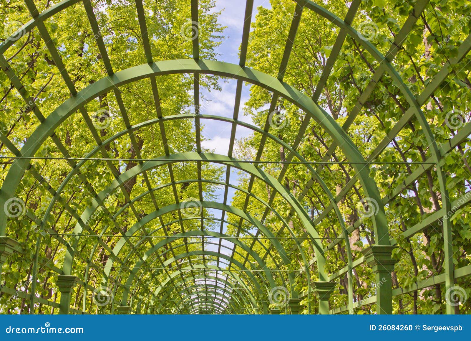 Green arch stock photo. Image of shady, garden, tranquil - 26084260