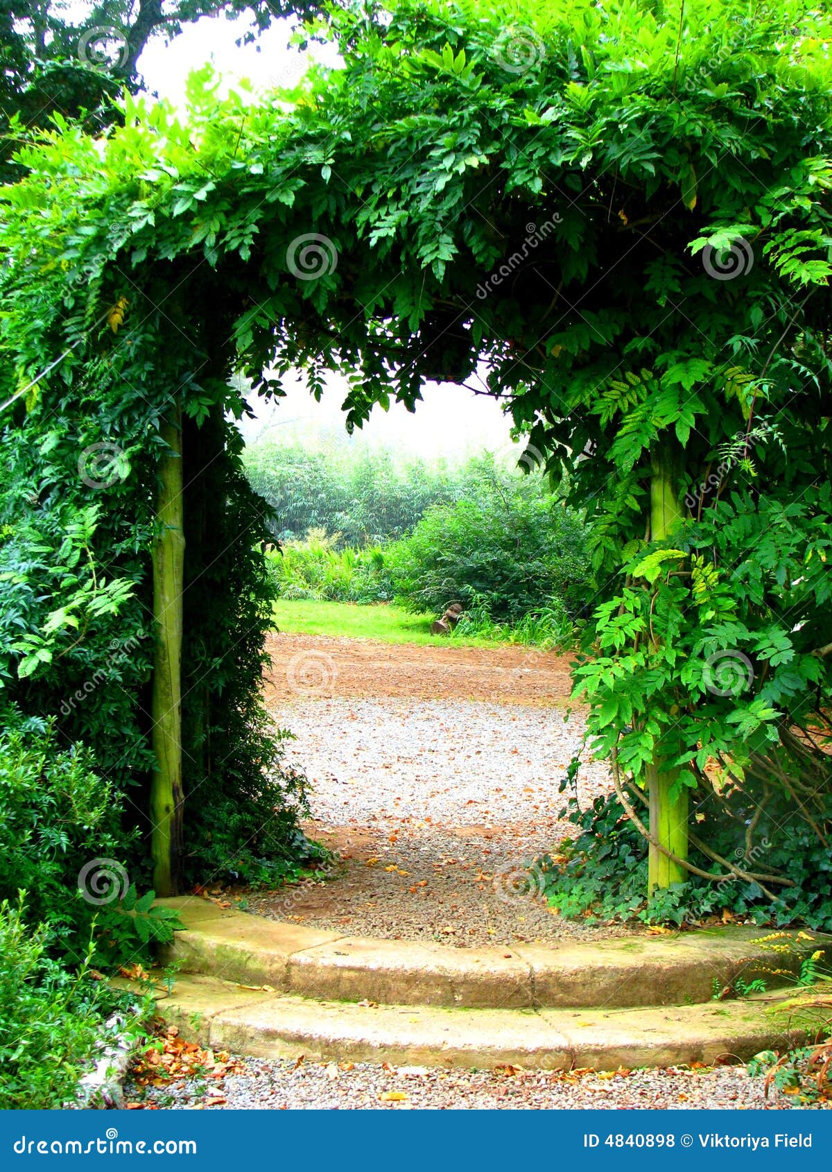 Green arch stock photo. Image of outdoors, ornamental - 4840898