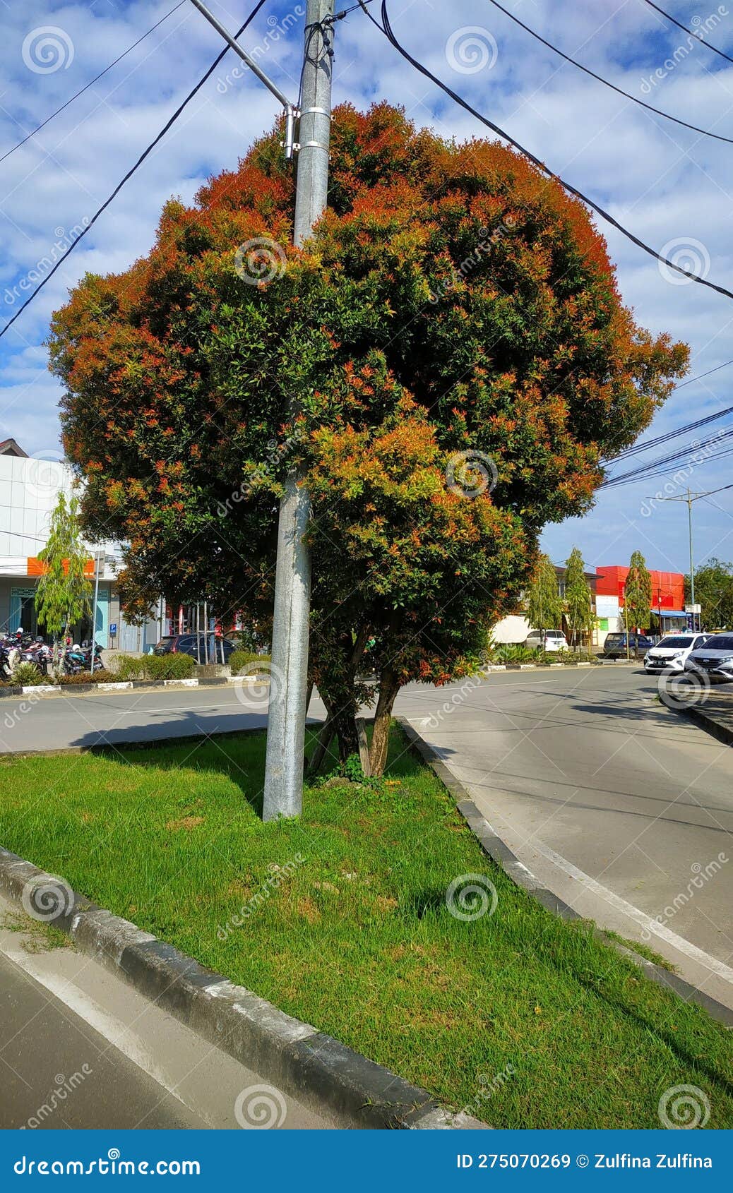 Green Area at the Crossroads of the City Editorial Stock Image - Image ...