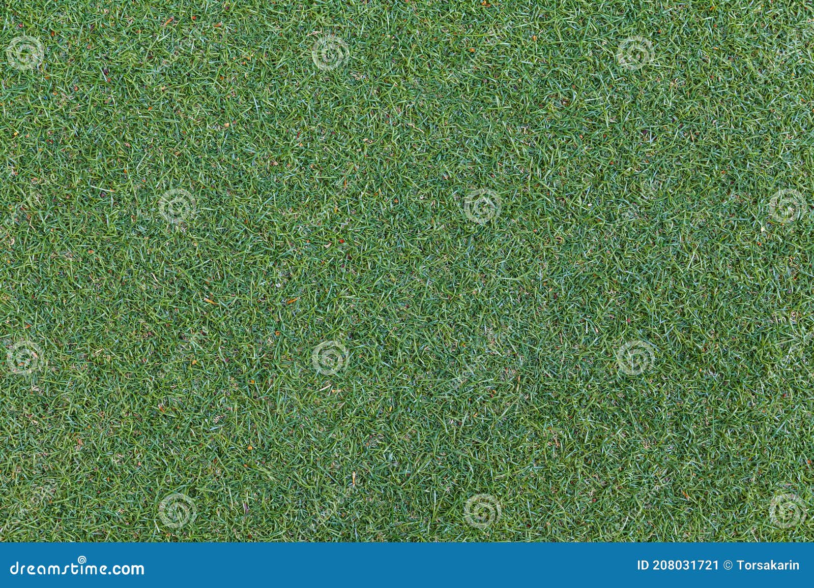 Green Artificial Grass Floor Texture And Seamless Royalty-Free Stock ...