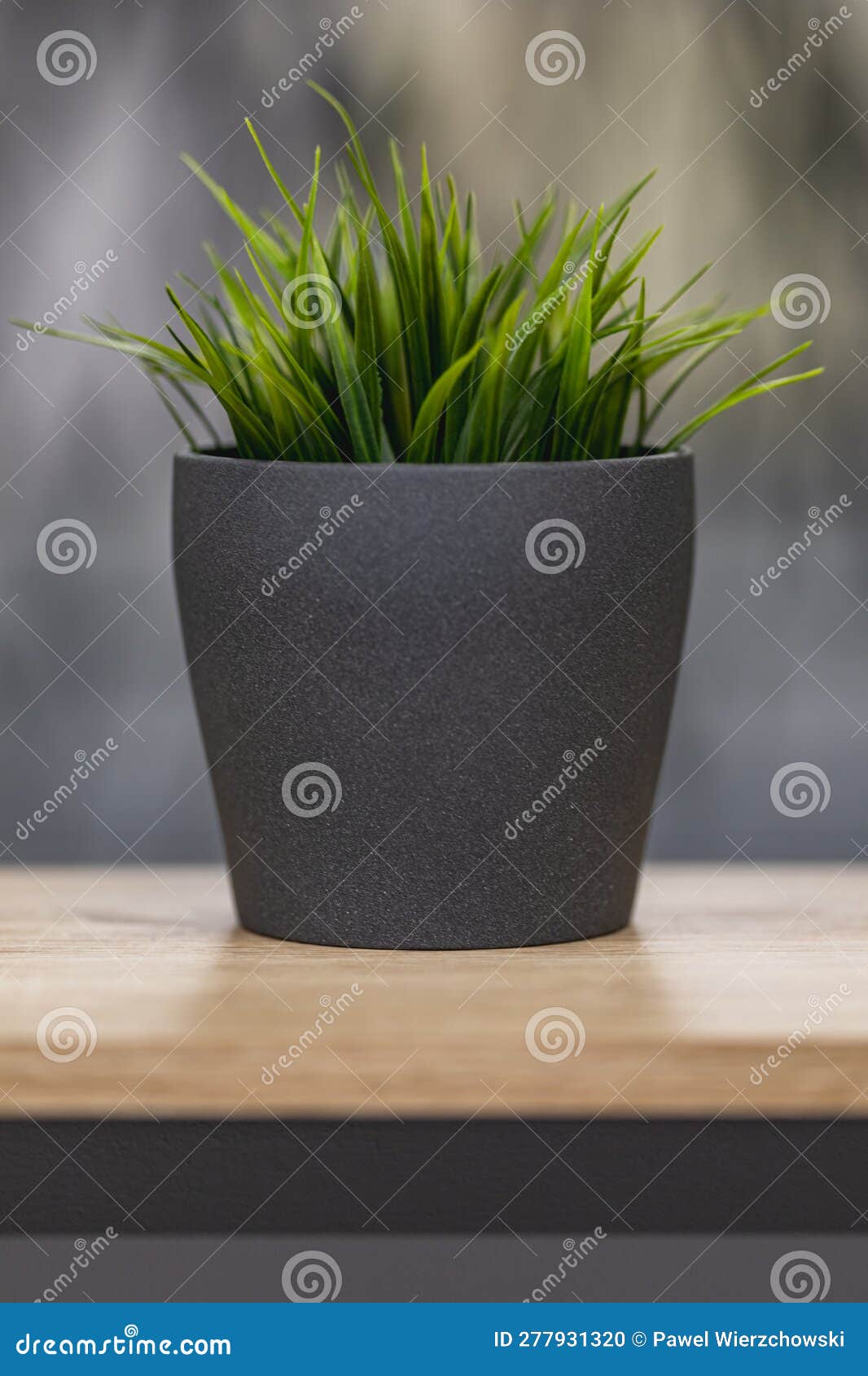 Green Artificial Grass with a Lot of Plastic Stems in Gray Flower Pot ...