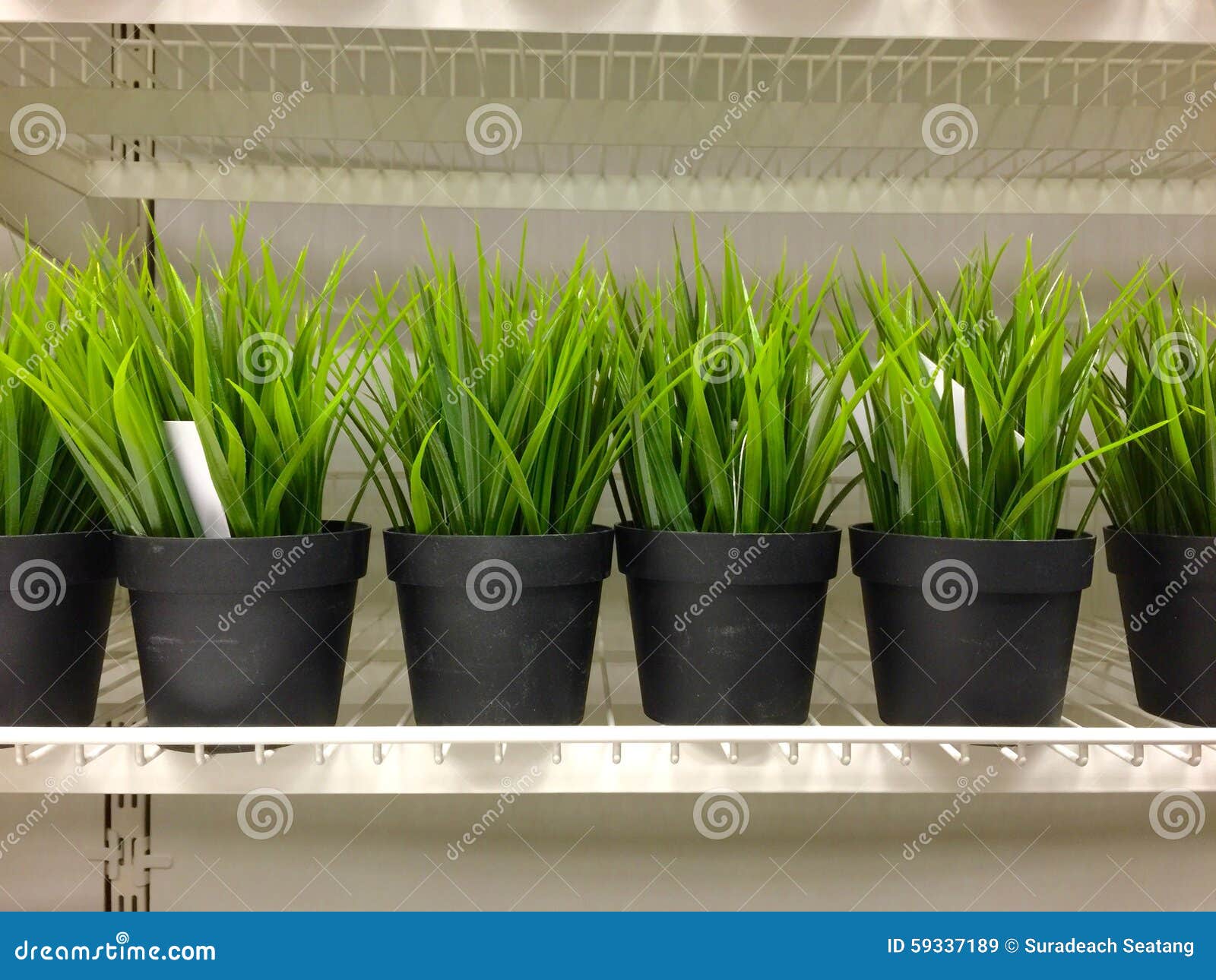 Green Artificial Grass on Shelf Stock Image - Image of fiber, abstract ...