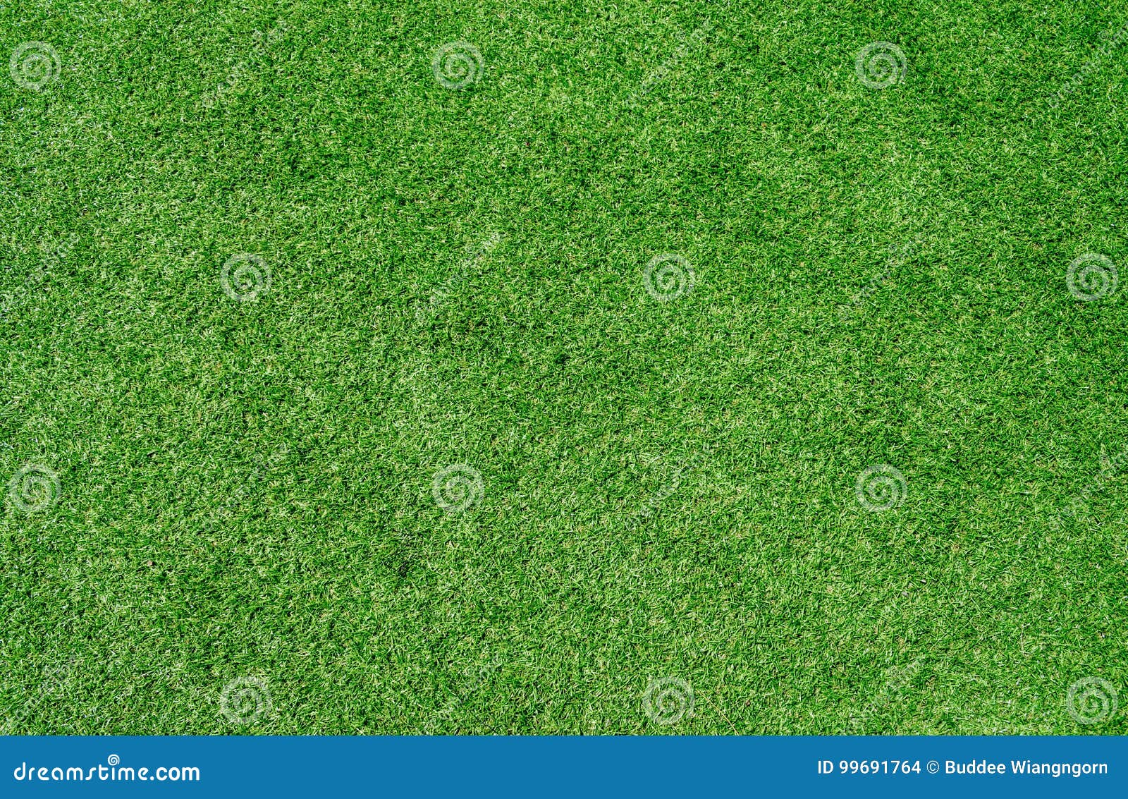 Green Artificial Turf in the Beautiful Lawn Home Stock Photo - Image of ...