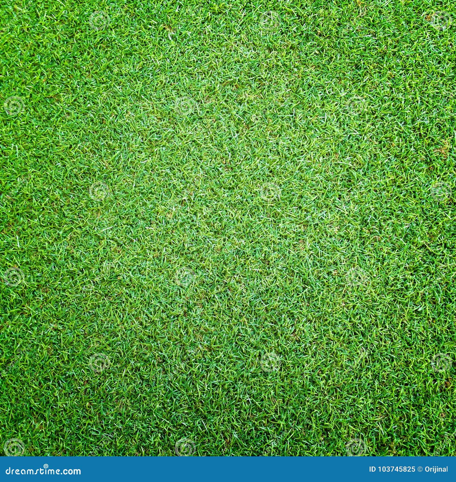 Green Artificial Turf Pattern ,texture for Background Stock Image ...