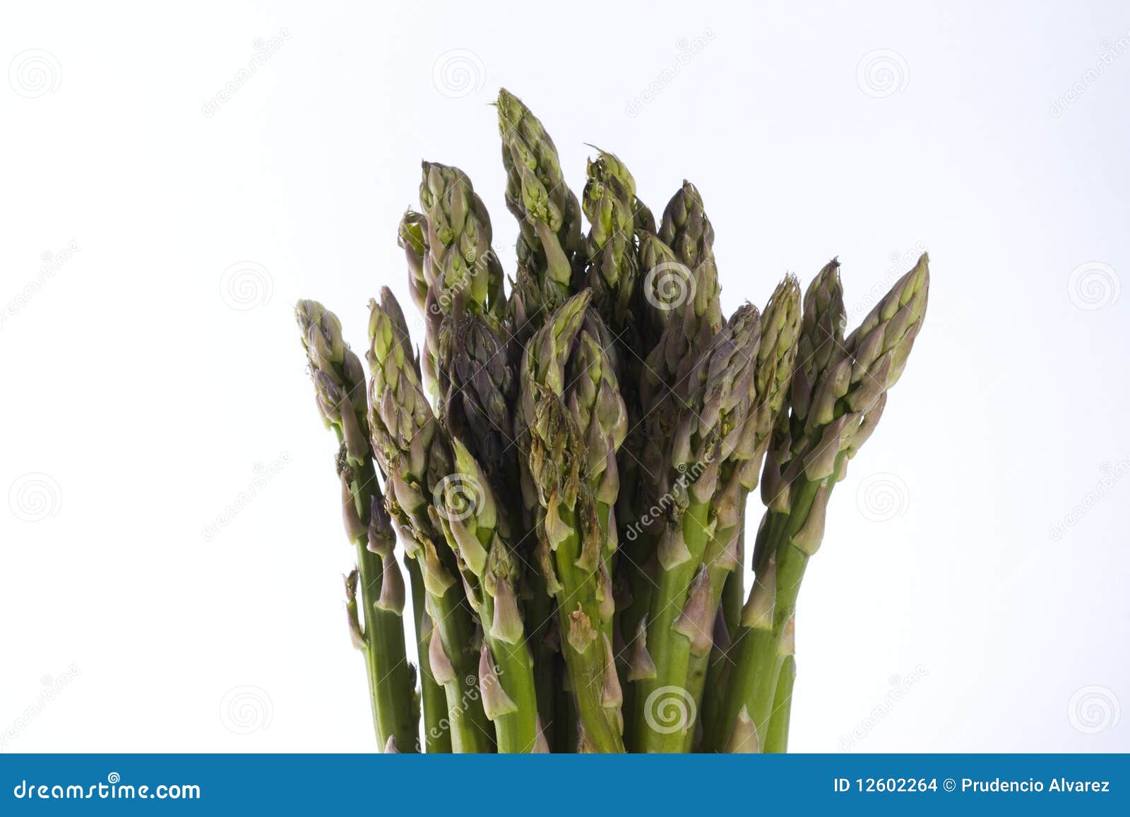 Green asparagus stock photo. Image of cuisine, vegetable - 12602264