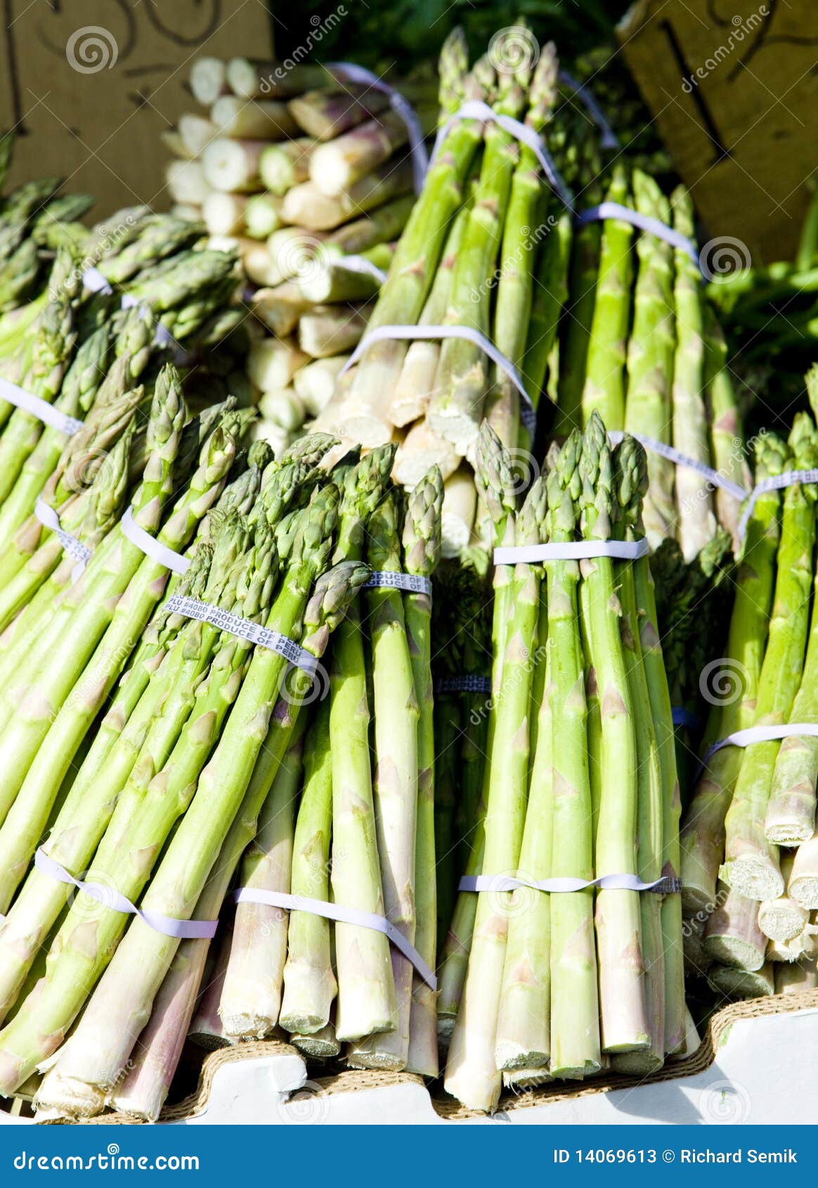 Green asparagus stock image. Image of asparagus, asparaguses - 14069613