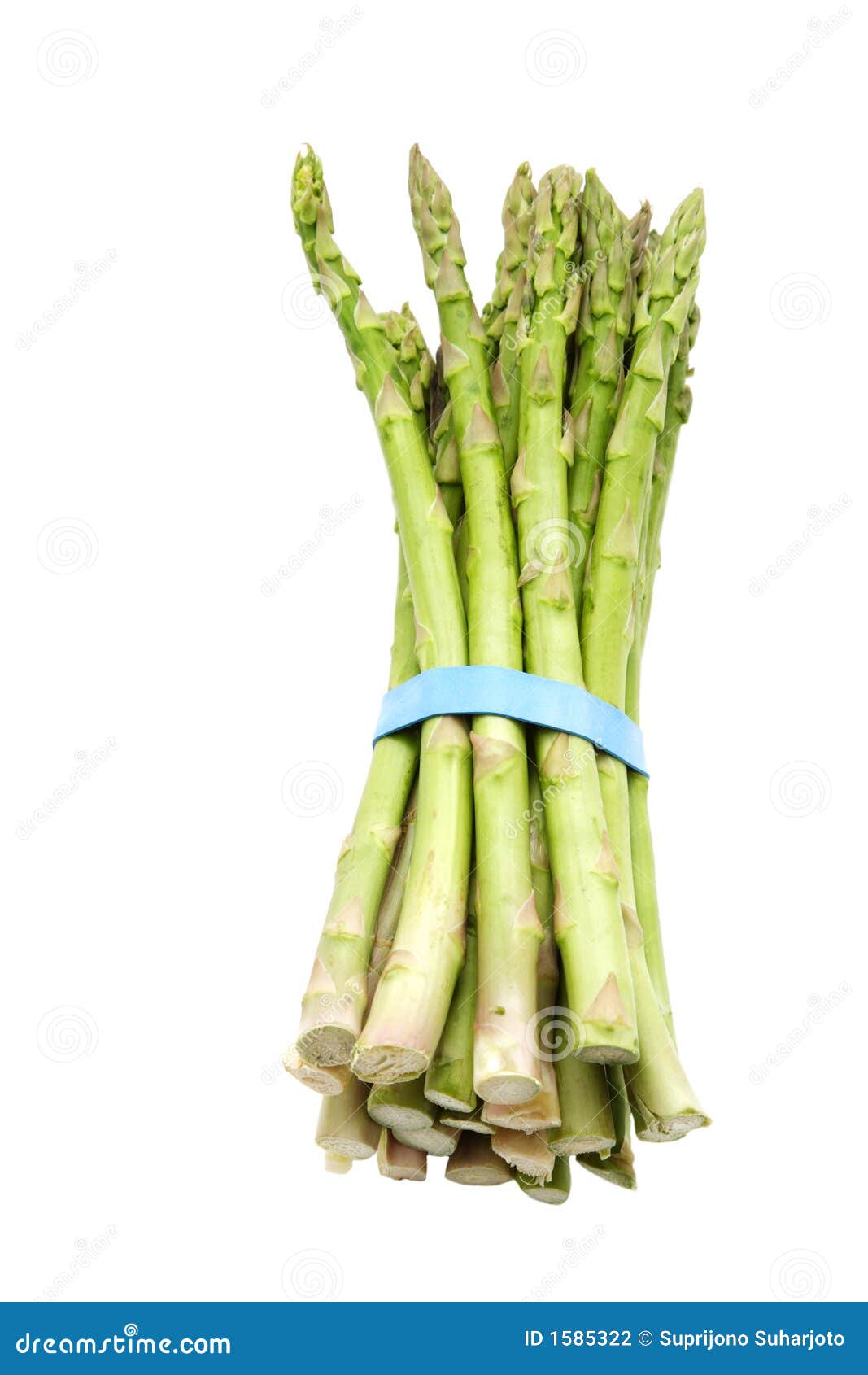 Green asparagus stock photo. Image of bunch, veggies, healthy - 1585322