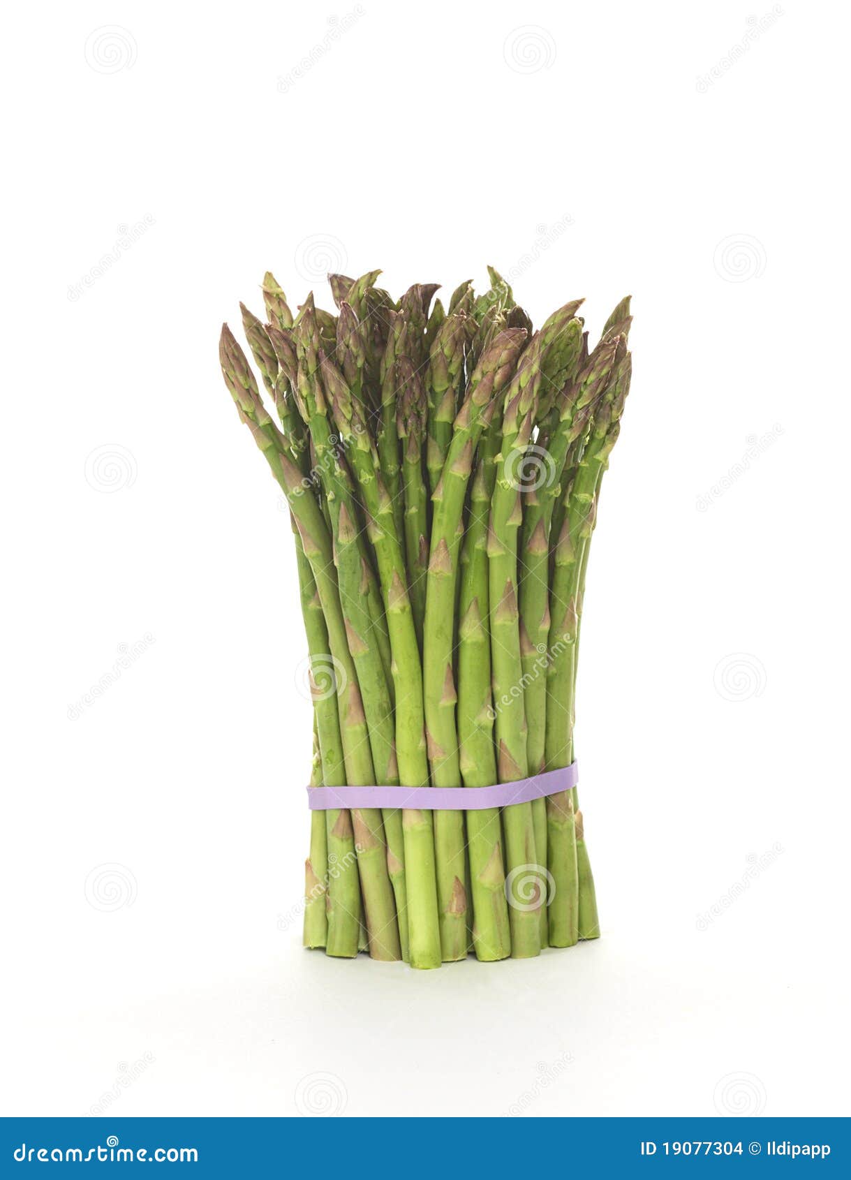 Green Asparagus stock photo. Image of healthy, white - 19077304