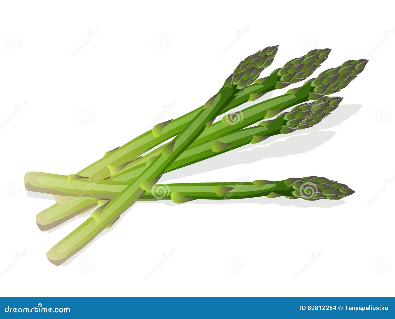 Green asparagus stock vector. Illustration of natural - 89812284 Green asparagus stock vector. Illustration of natural - 89812284
